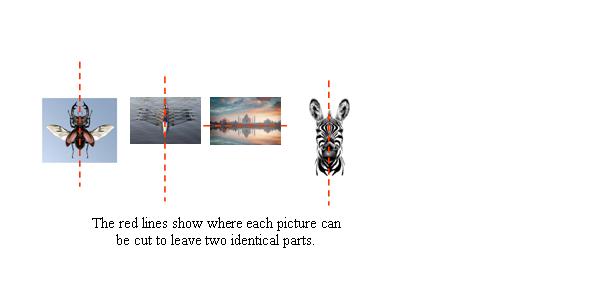 Developing: Symmetry (Symmetry Game) - Inspiring to Inspire Maths